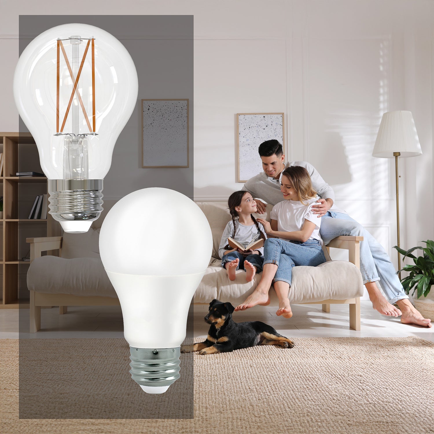 Understanding Light Bulb Shapes and Sizes – Brand Name Lighting